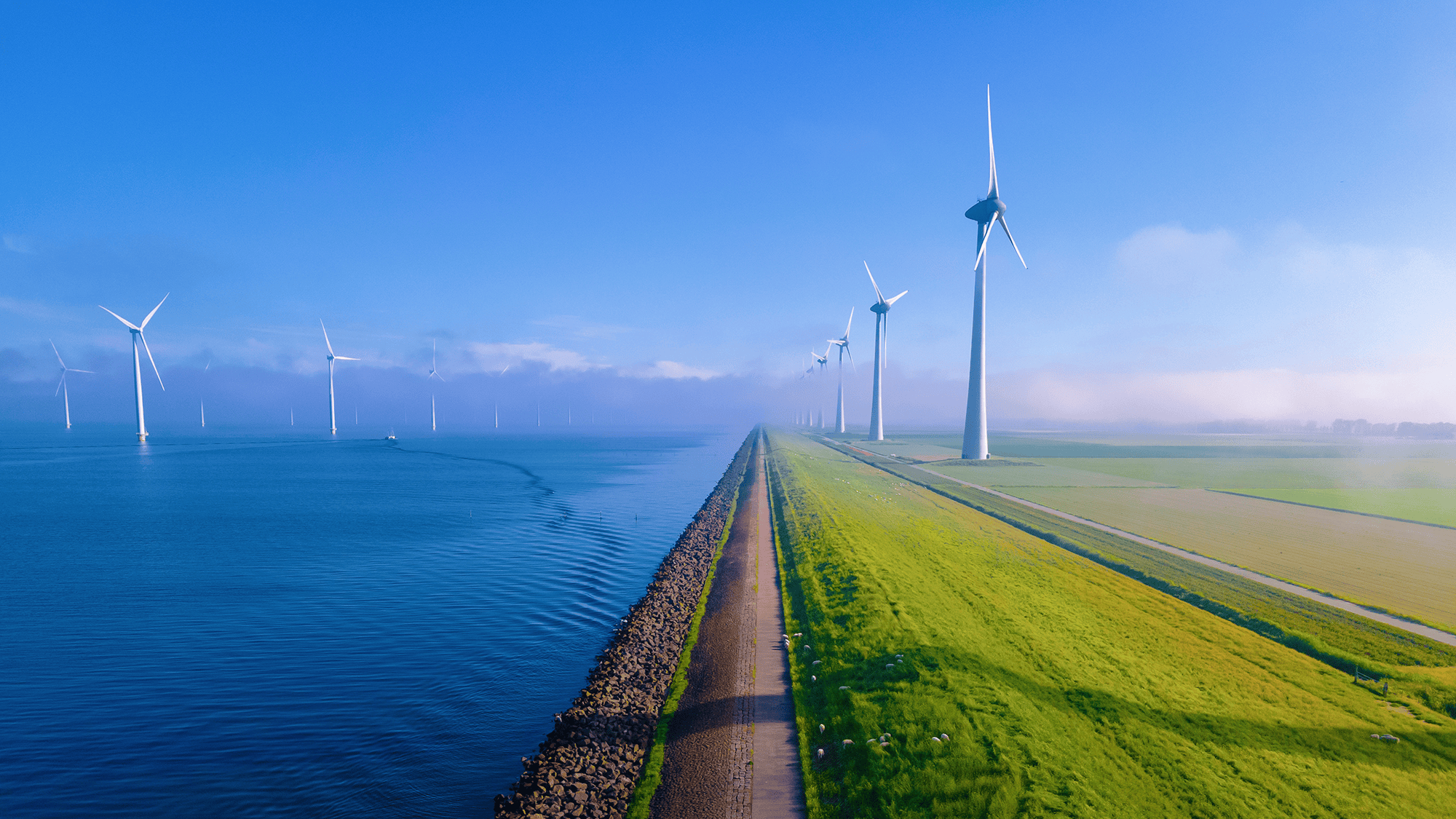 Sustainability | Viant